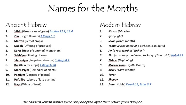 Zadok Basics – Torah is Light